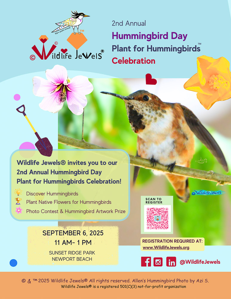 Event Calendar - Newport Beach Chamber of Commerce